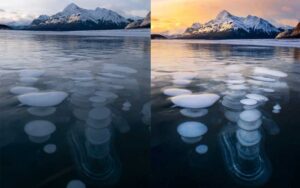 How to Use Focus Stacking to Get Extremely Sharp Photos