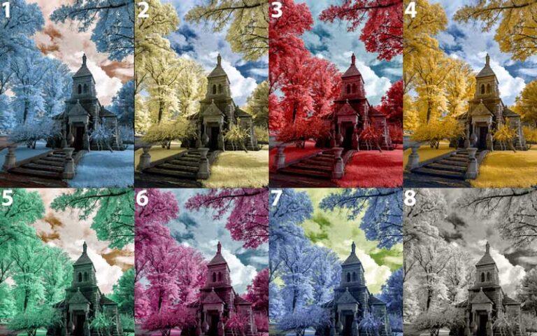 Understanding Infrared photography | A beginner's Guide